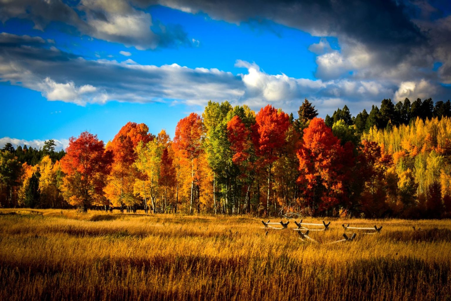 Top Fall RV Parks Near Idaho Falls | Fall Things to Do Near Idaho Falls